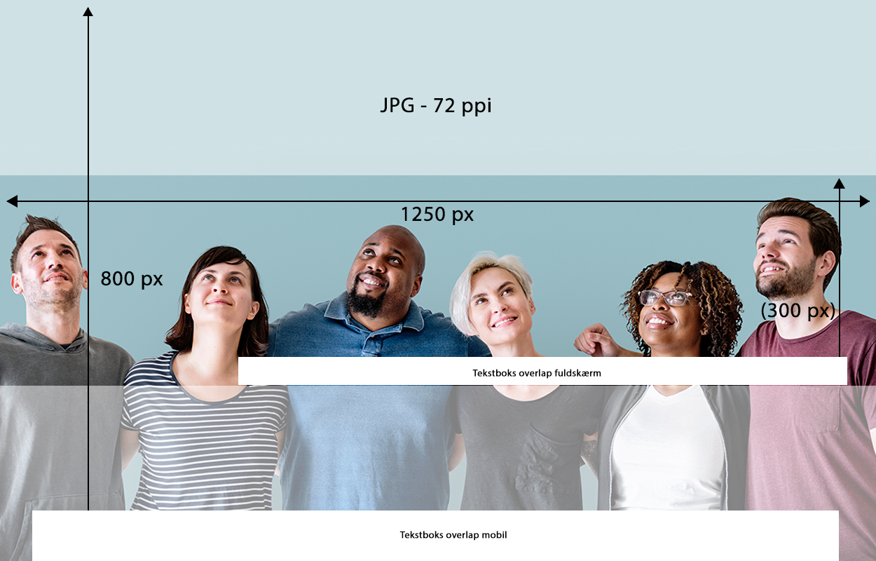 Billeder - format og størrelser | DOF IT Support